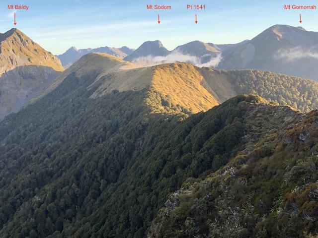 Nelson Tramping Club - Mt. Gomorrah & beyond, Kahurangi NP, 8 Dec 2023