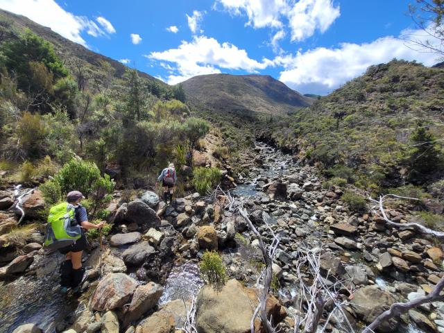 Nelson Tramping Club - Monster Mine-Blue Knob, 21 Dec 2025, Nelson